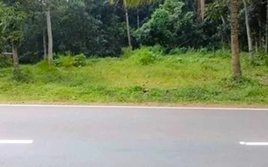 25 acre sea facing land for sale at Kovalam, Trivandrum